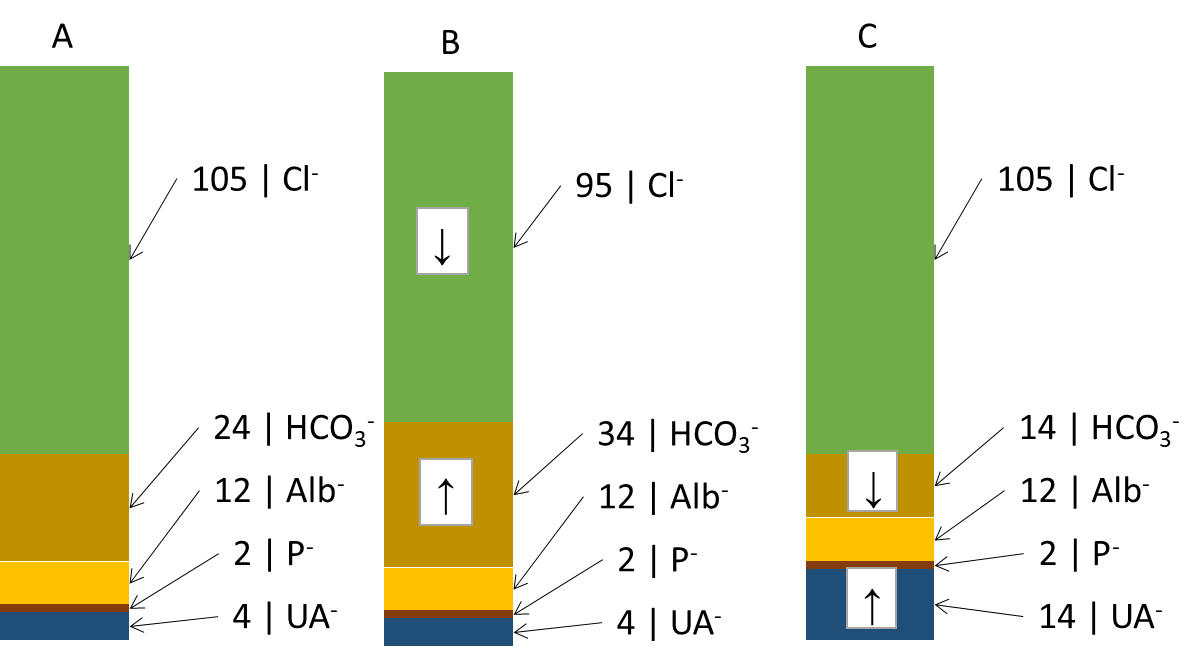 Clinical biochemistry: Introduction to acid-base balance disorders | MOODLE